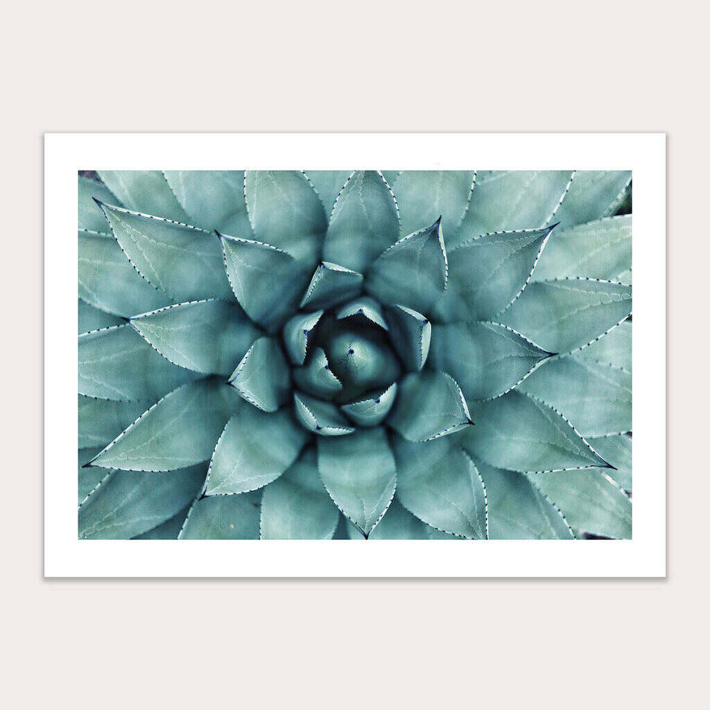 Green Succulent Natural Pattern - Κάντο Κορνίζα