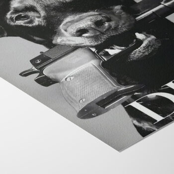 Dior Fashion Photography - Doberman with a gun - Κάντο Κορνίζα